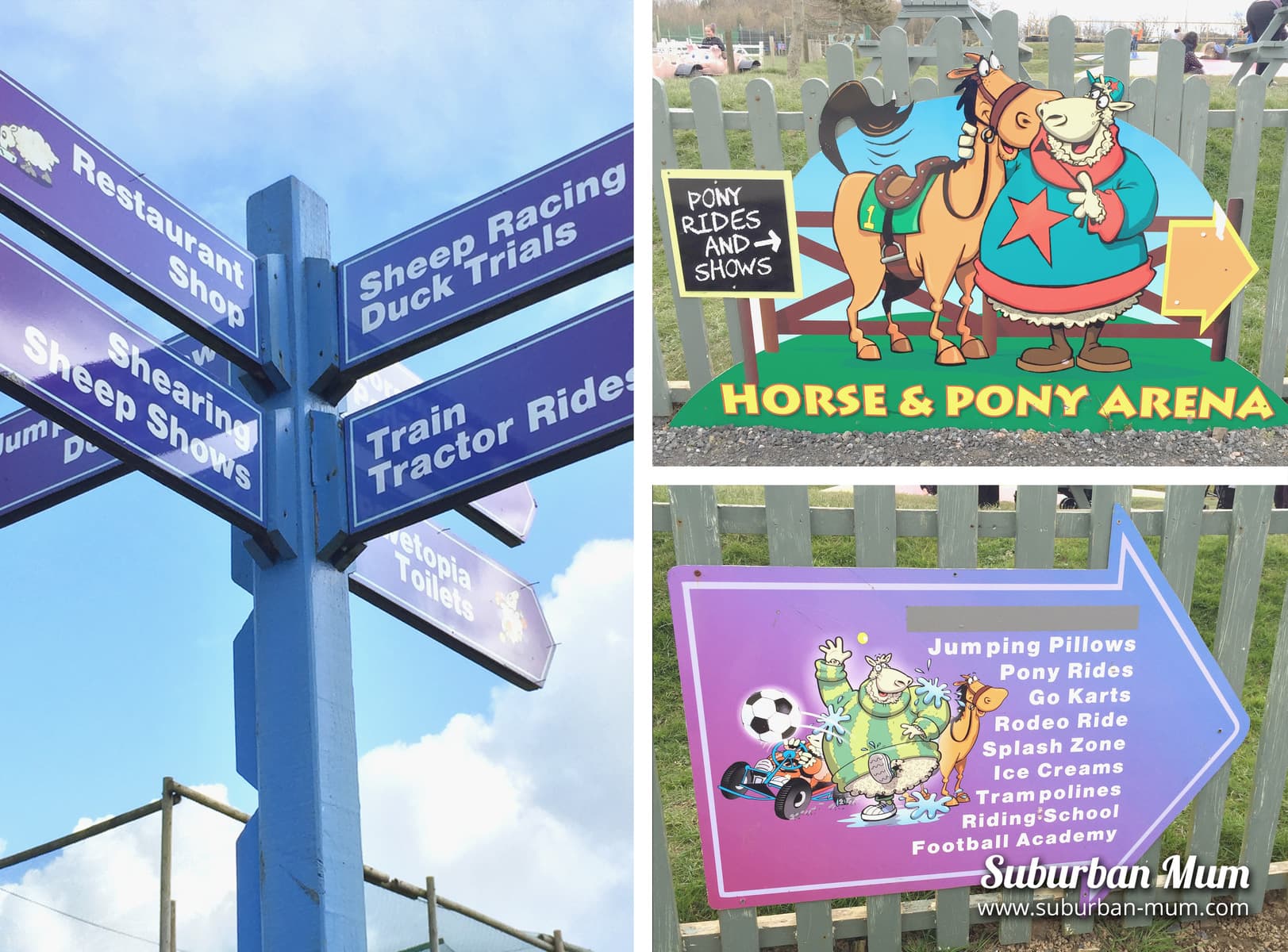 Devon Holiday: The Big Sheep | Suburban Mum