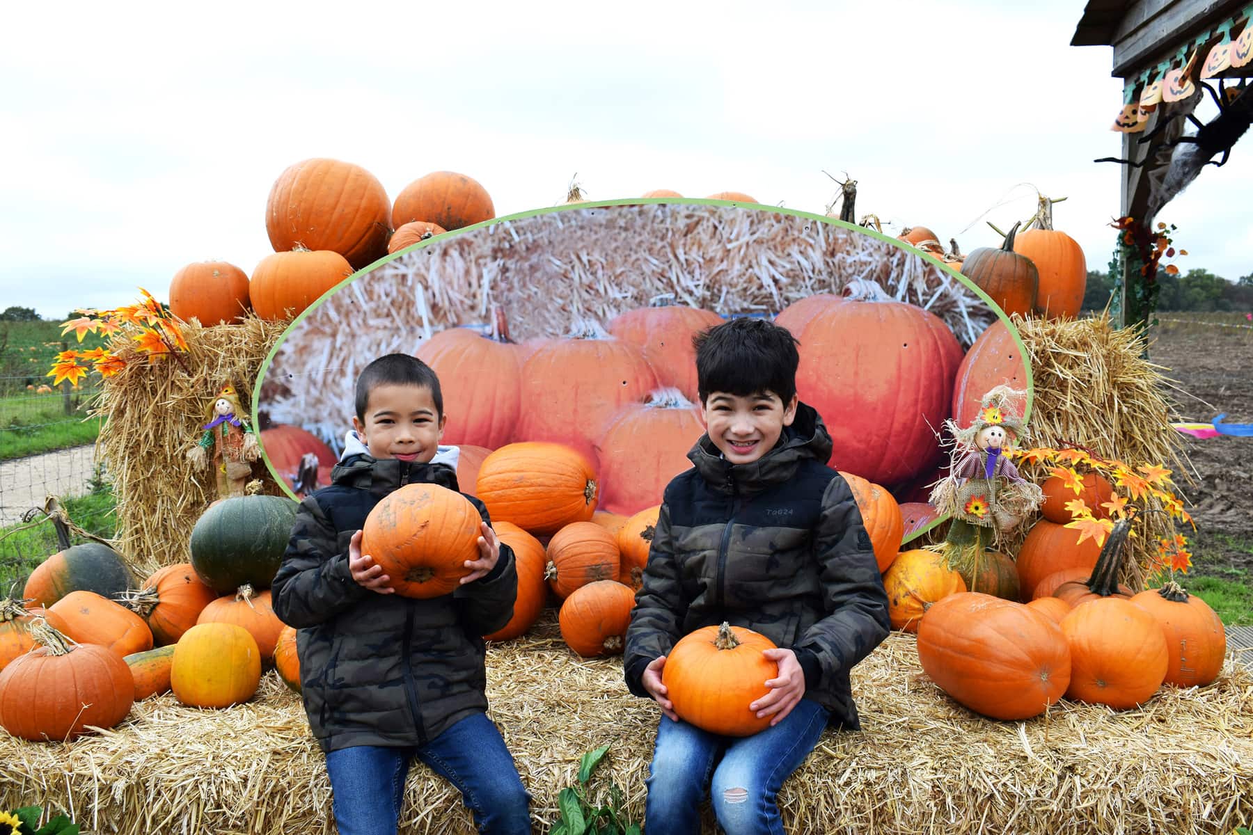 willows-farm-pumpkin-patch | Suburban Mum